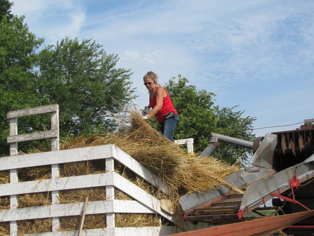 Gleaning the grain | News, Sports, Jobs - Messenger News